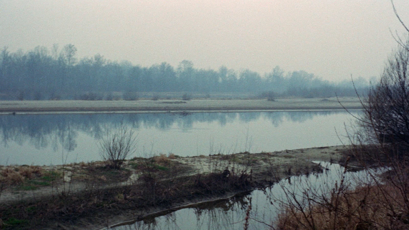 Janus Films — Teorema