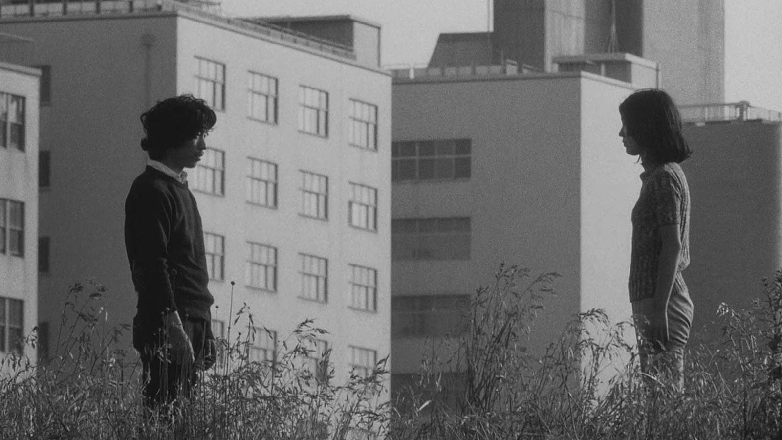 Janus Films — The Man Who Left His Will On Film