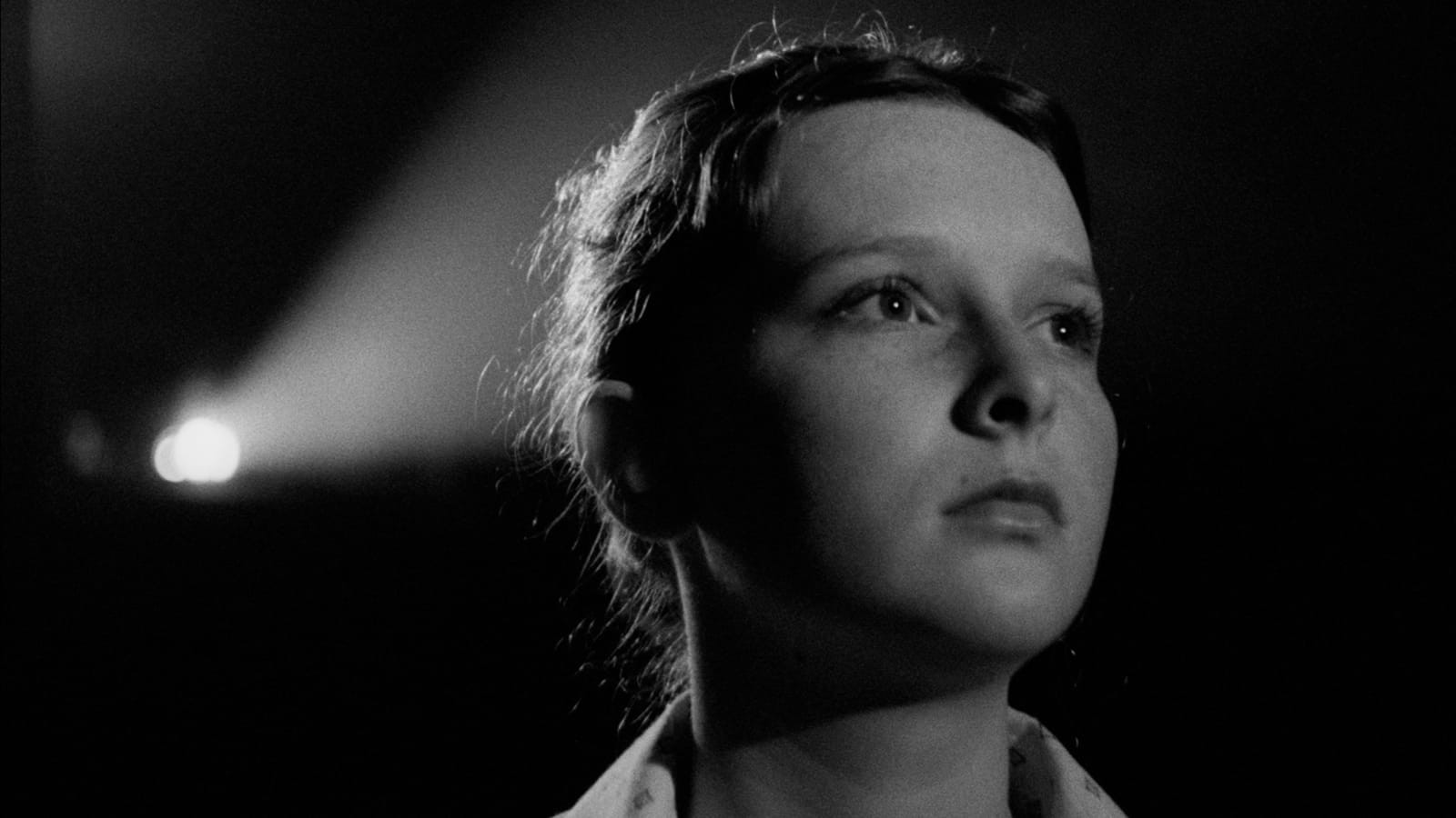 Janus Films — Diary for My Children