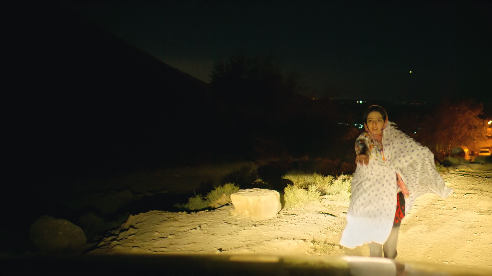 Janus Films — No Bears