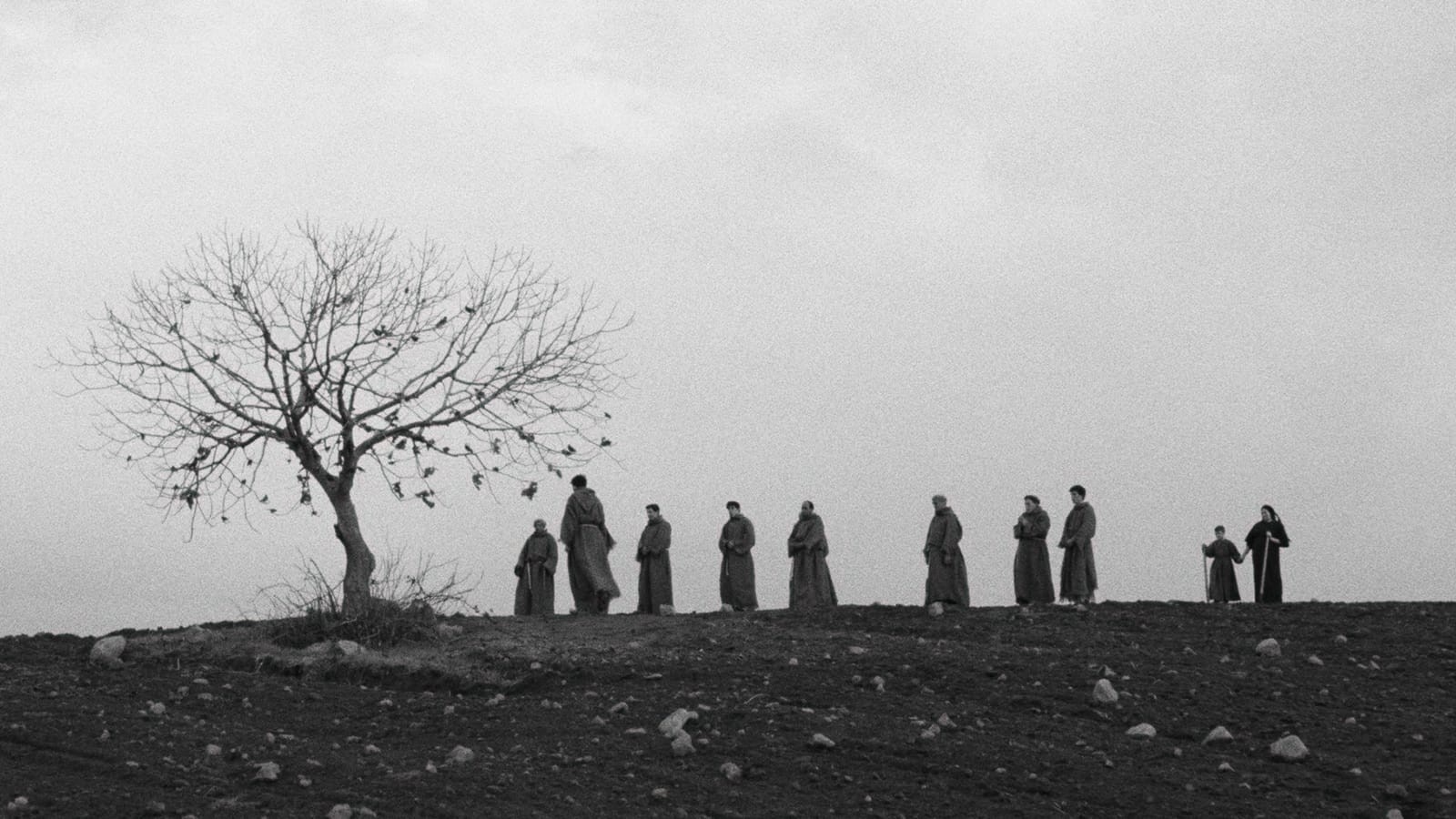 Janus Films — The Hawks and the Sparrows