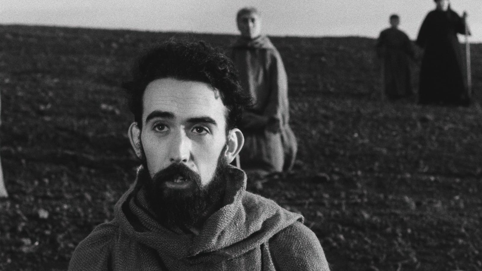 Janus Films — The Hawks and the Sparrows