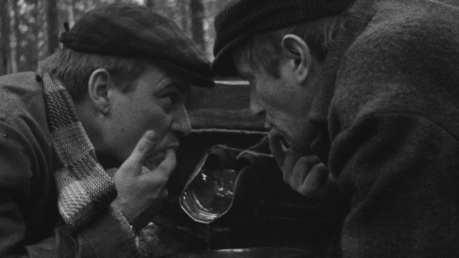 Self Destruction Theory