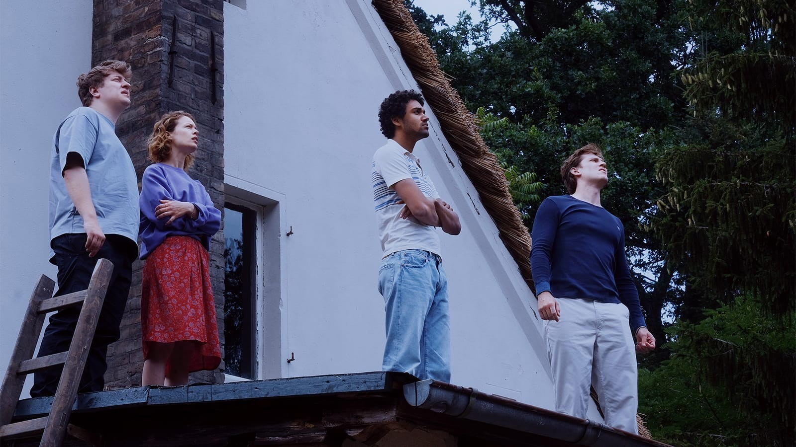 Janus Films — Afire