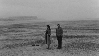 Janus Films — Sweet Movie