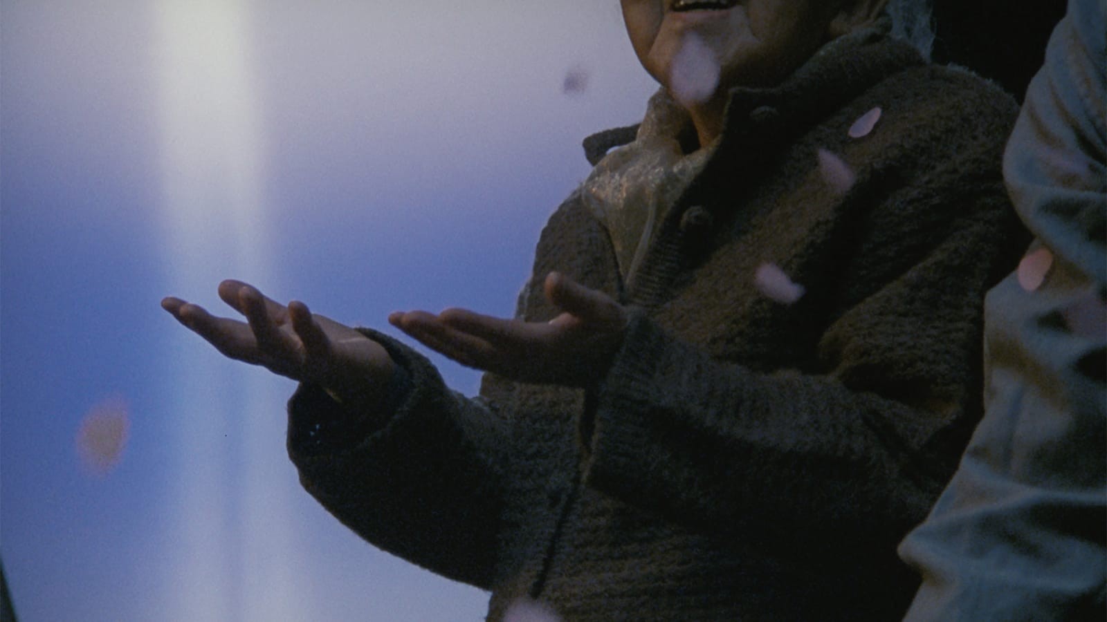 Janus Films — After Life