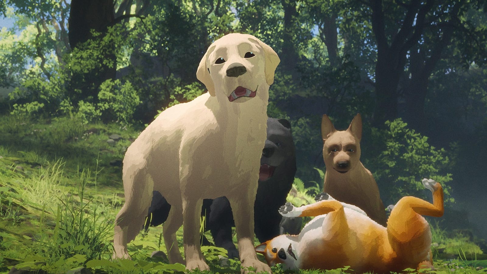 Janus Films — Flow