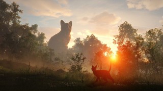 Janus Films — A Real Young Girl