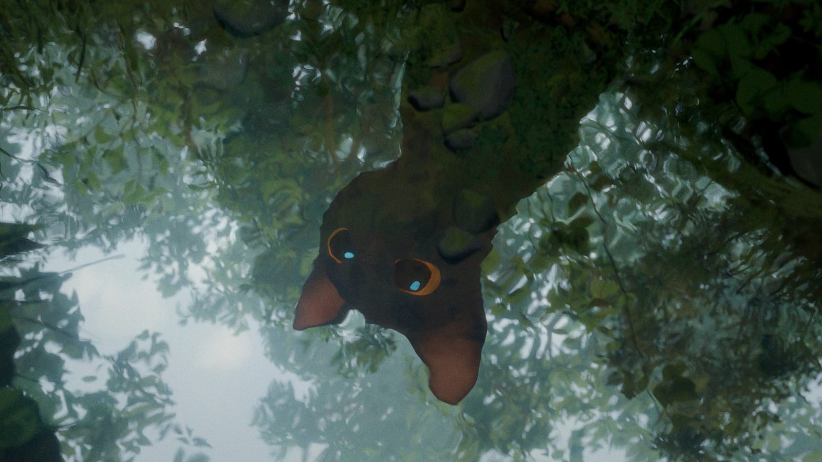 «Flow»: la nueva joya del cine de animación – Cinemaseries