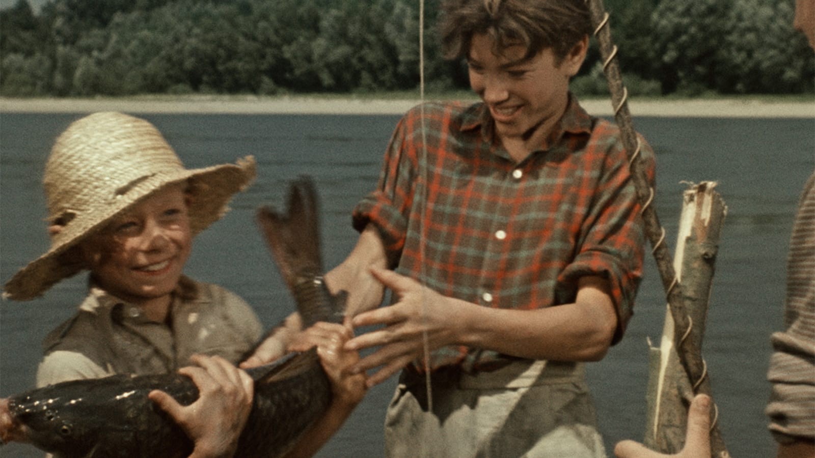 Janus Films — Journey to the Beginning of Time