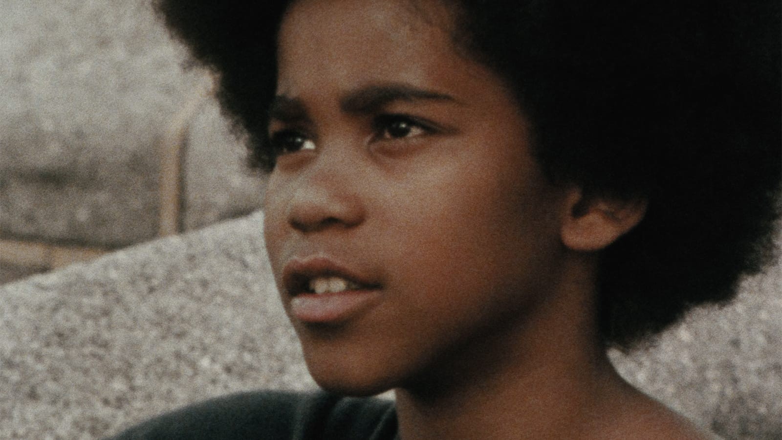 Janus Films — Will