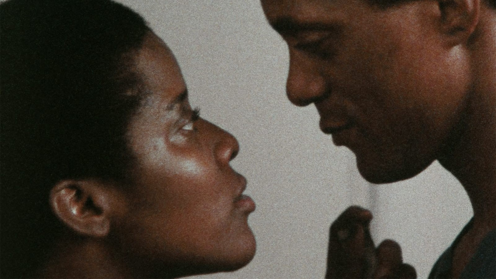 Janus Films — Will