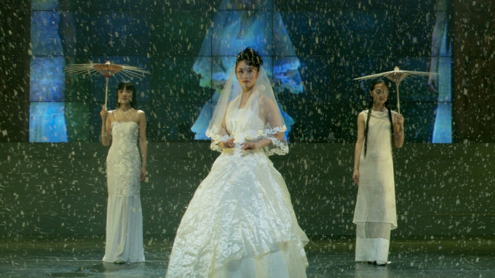 Janus Films — The World