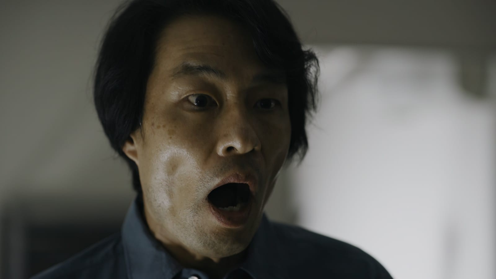 Janus Films — Chime