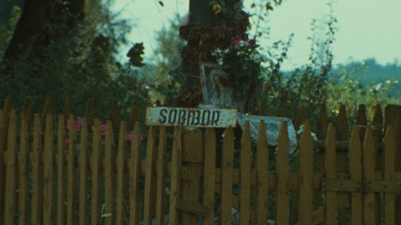 Janus Films — Shoah