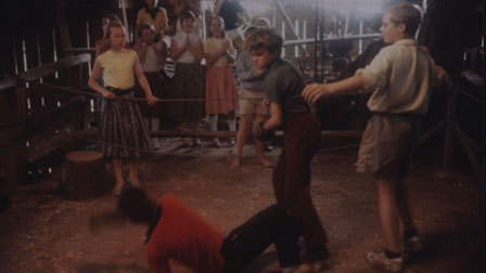 My Life as a Dog (1985) - The Criterion Collection