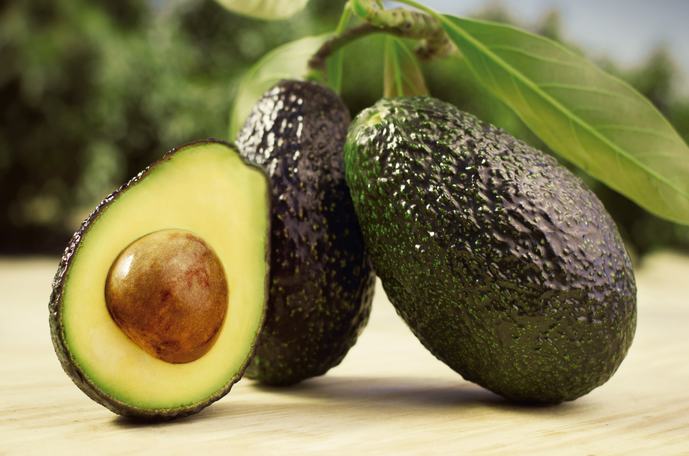 Aguacate colombiano: un símbolo de sabor y sostenibilidad