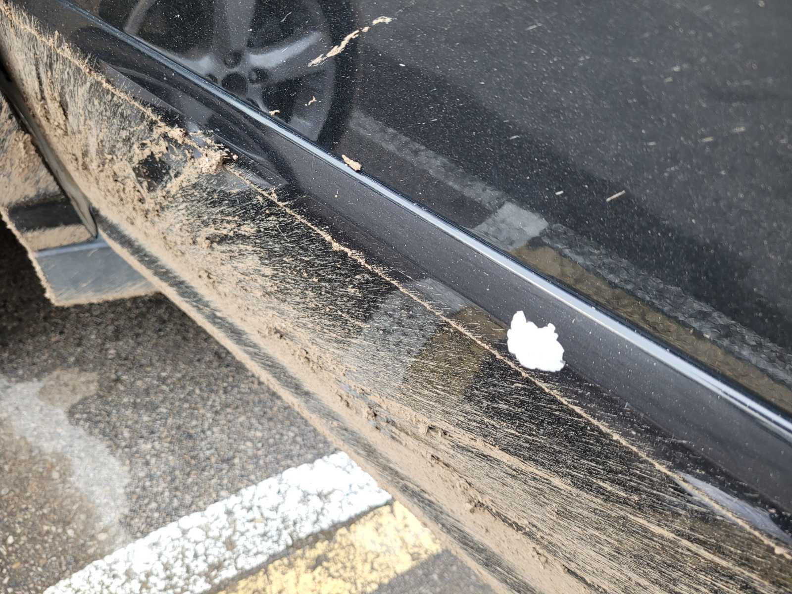 LF Seat Armrest (Torn)