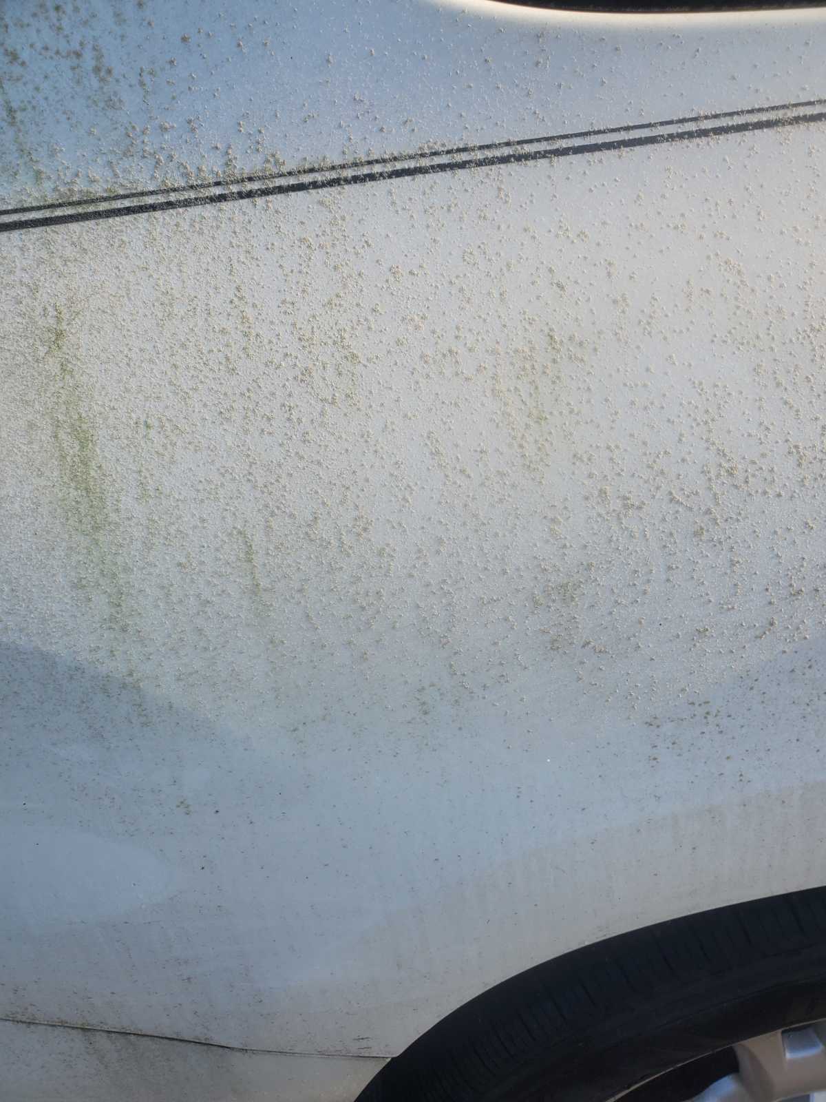 RF Door (Environmental Paint Dmg)