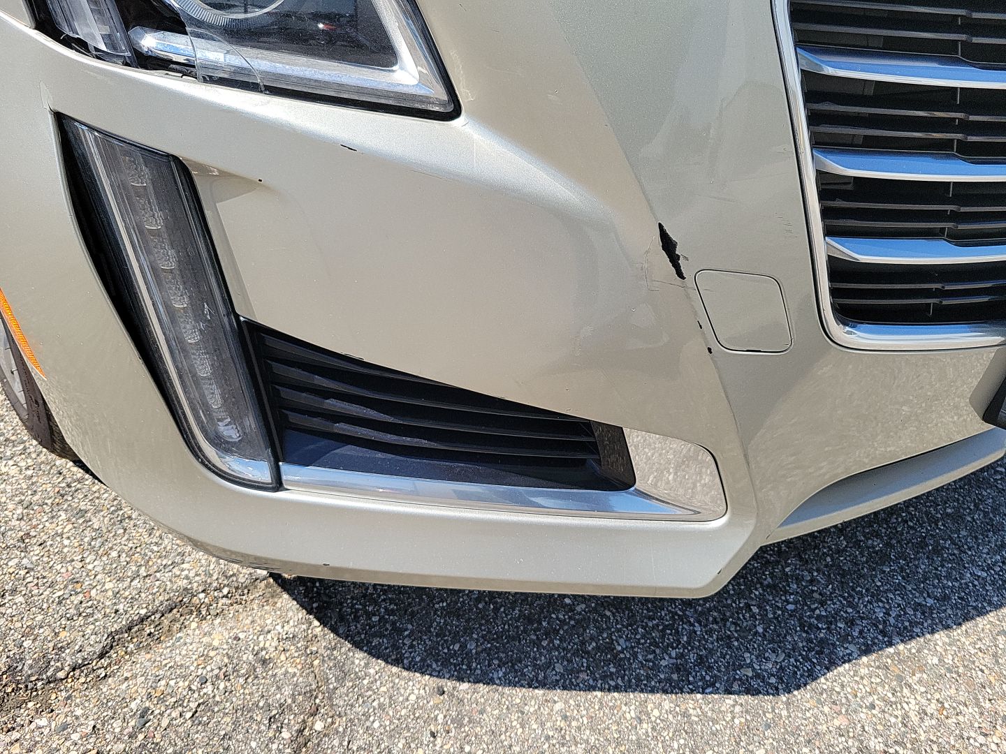 LF Mirror Cover (Broken)