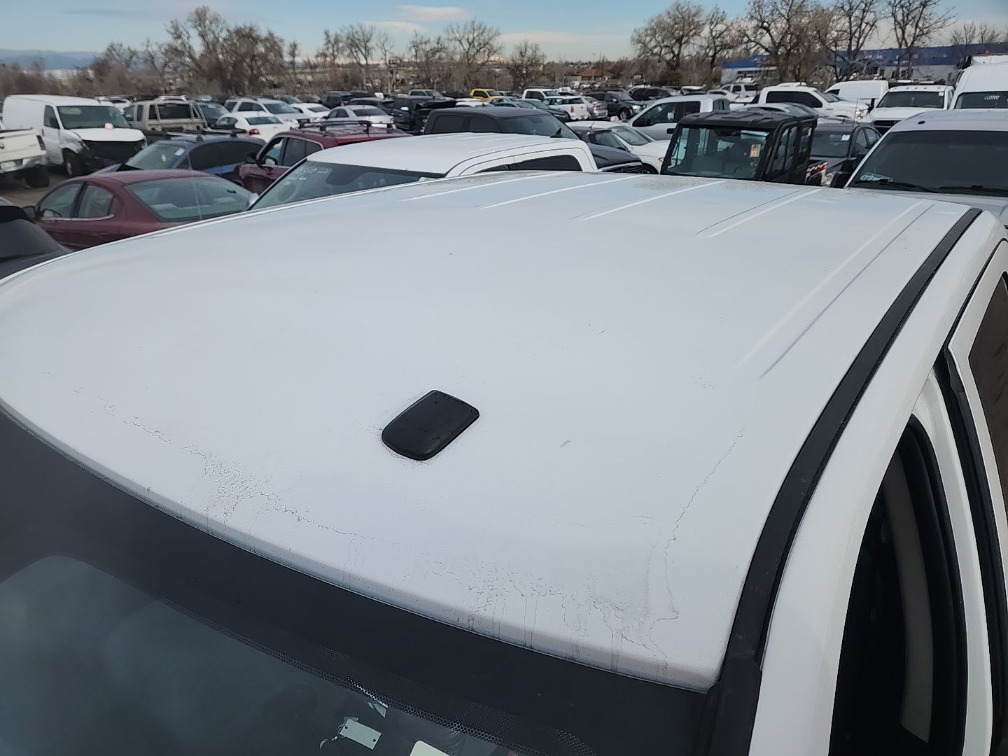 Tailgate (Mult Dents/No Paint Dmg)