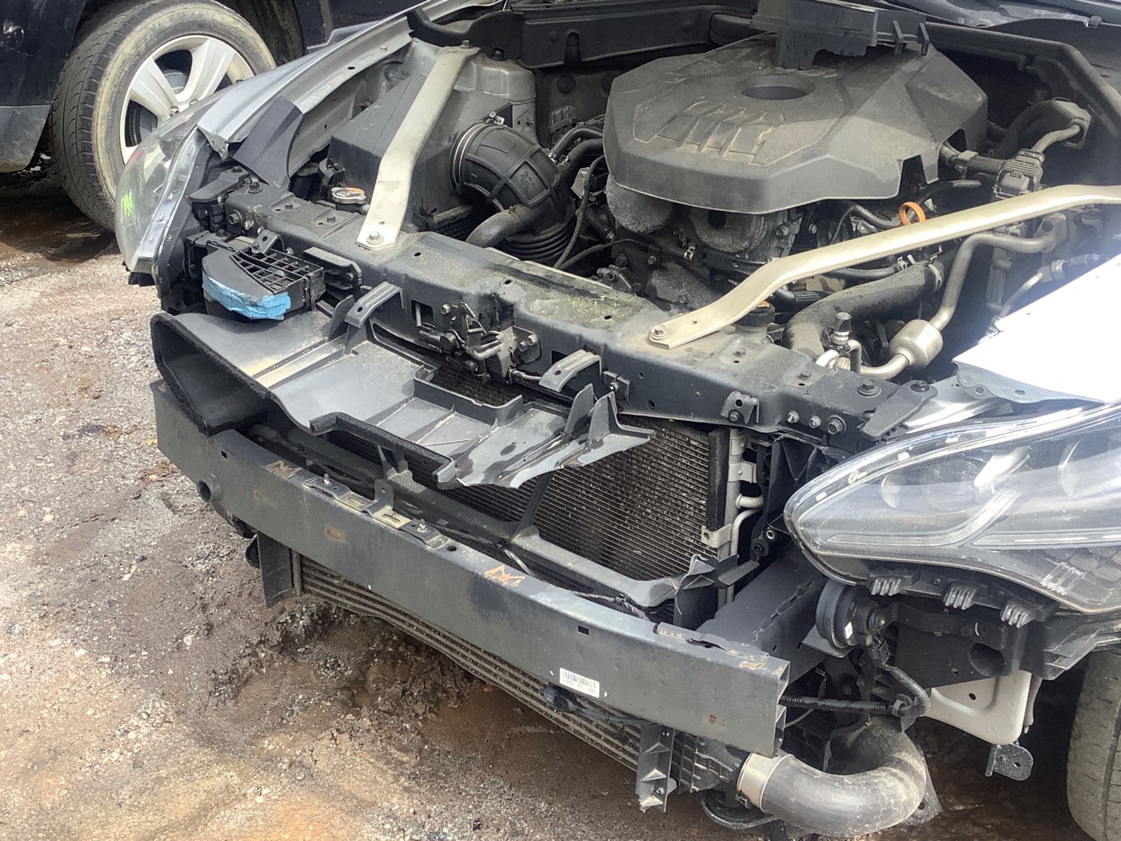 Hood (Severe Damage)