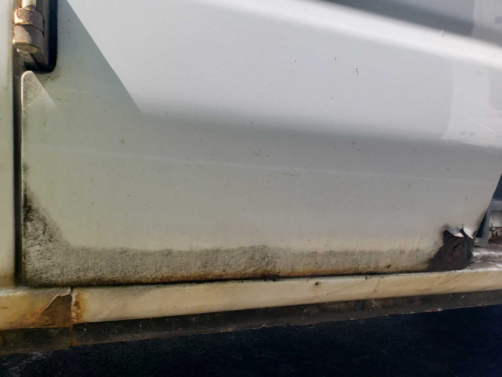 Cargo Door - Left Rear (Dent/Paint Dmg)