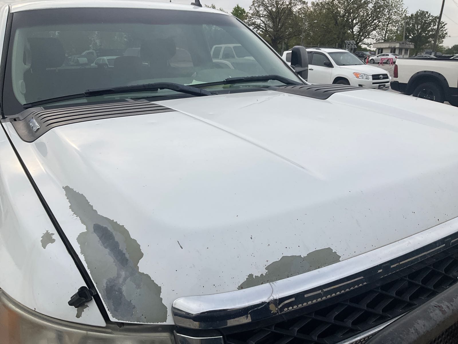 L Bed Side (Mult Dents/Paint Dmg)