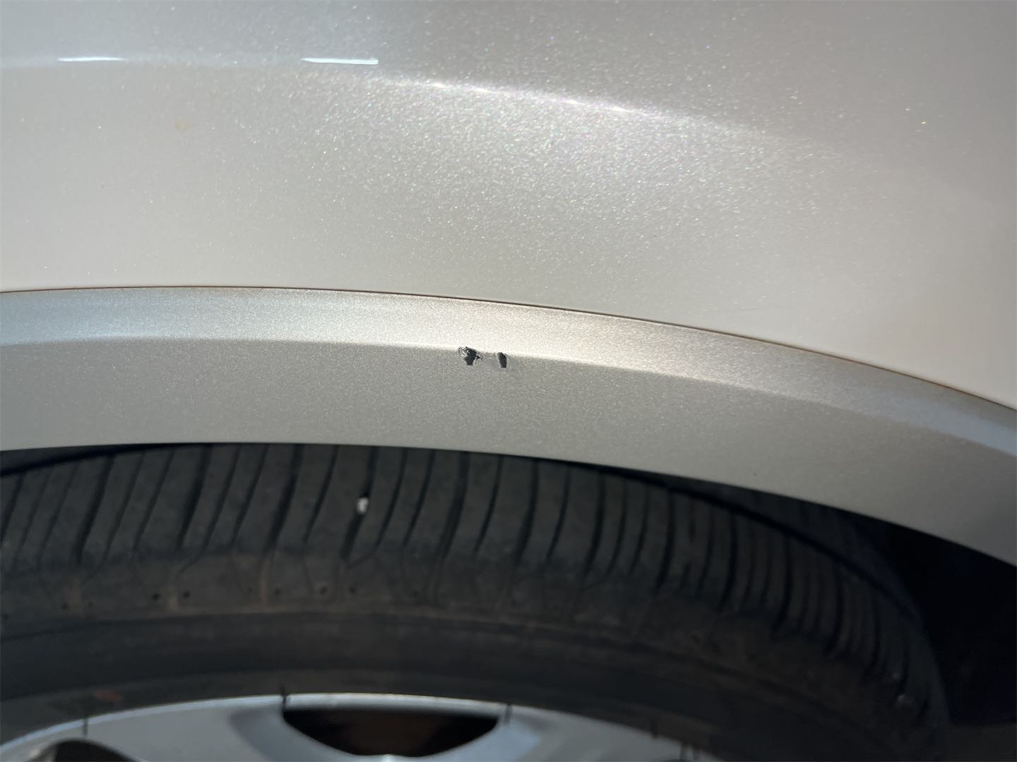 LR Door Edge (Chipped)