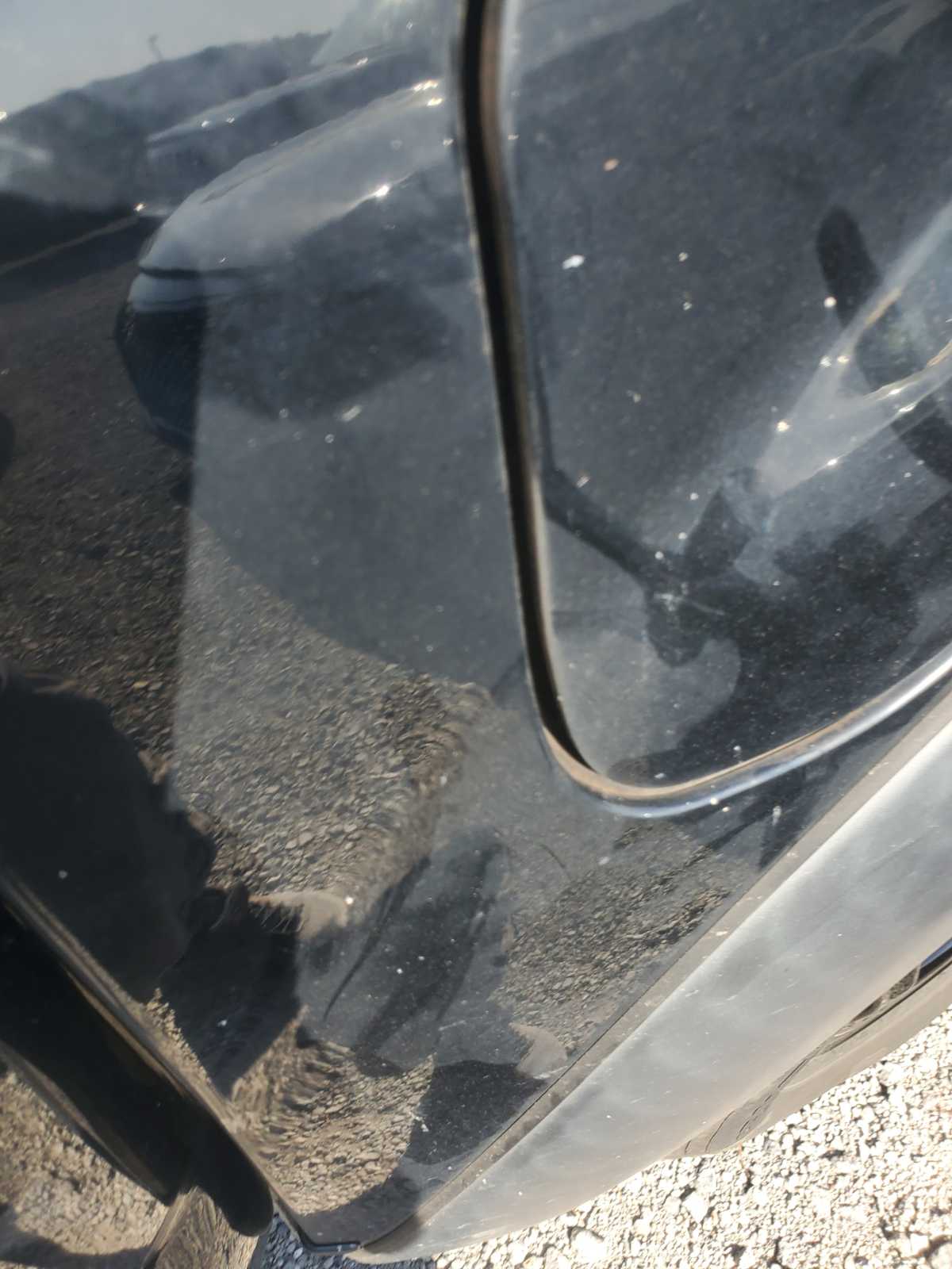 LF Door (Environmental Paint Dmg)