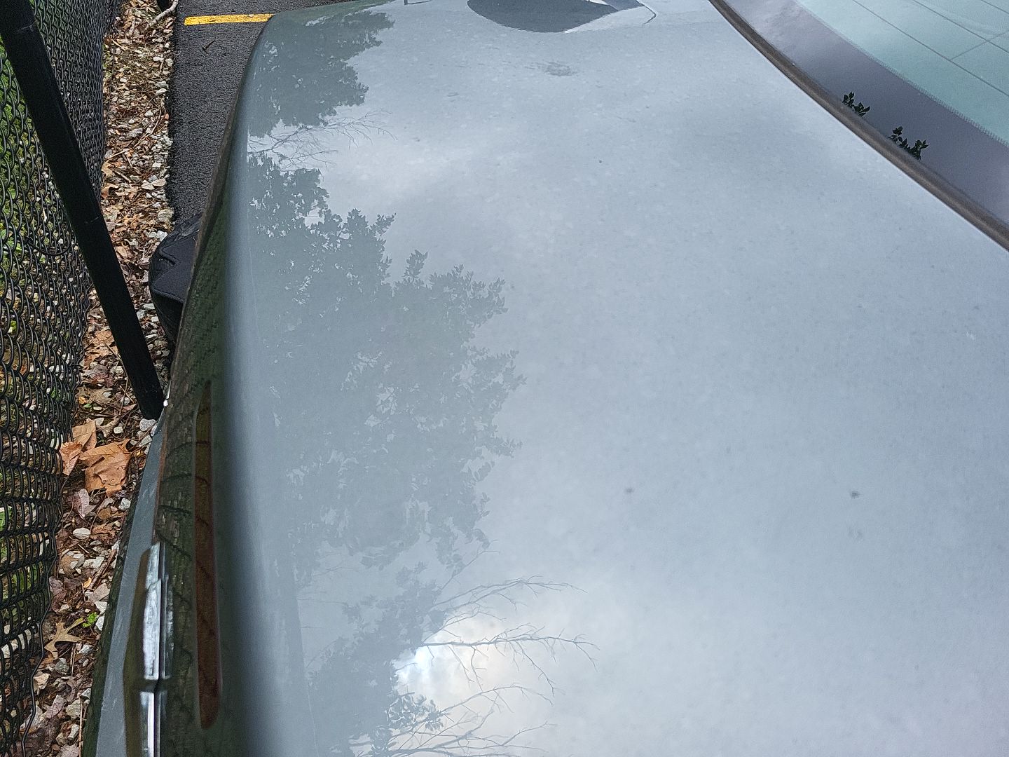 Left Drip Rail (Dent/No Paint Dmg)