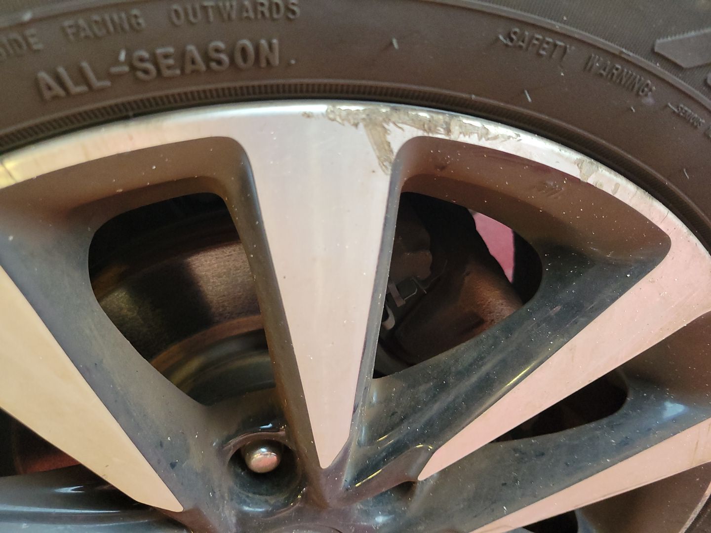 Rear Bumper (Heavy Mult Scratches)