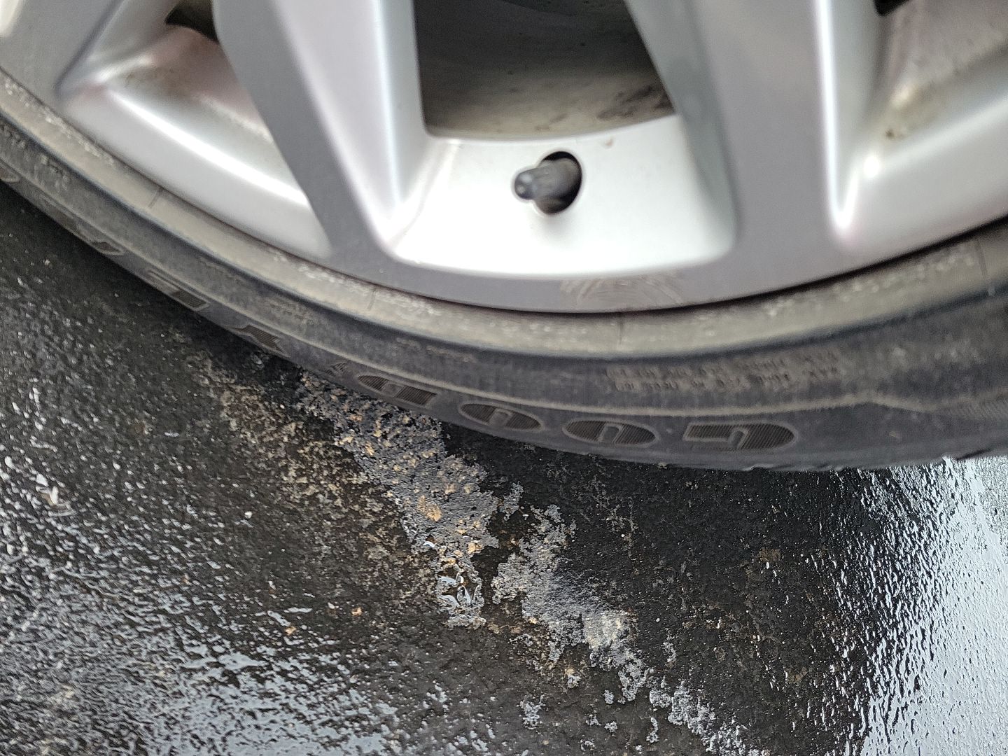 R Qtr Panel (Mult Dents/No Paint Dmg)