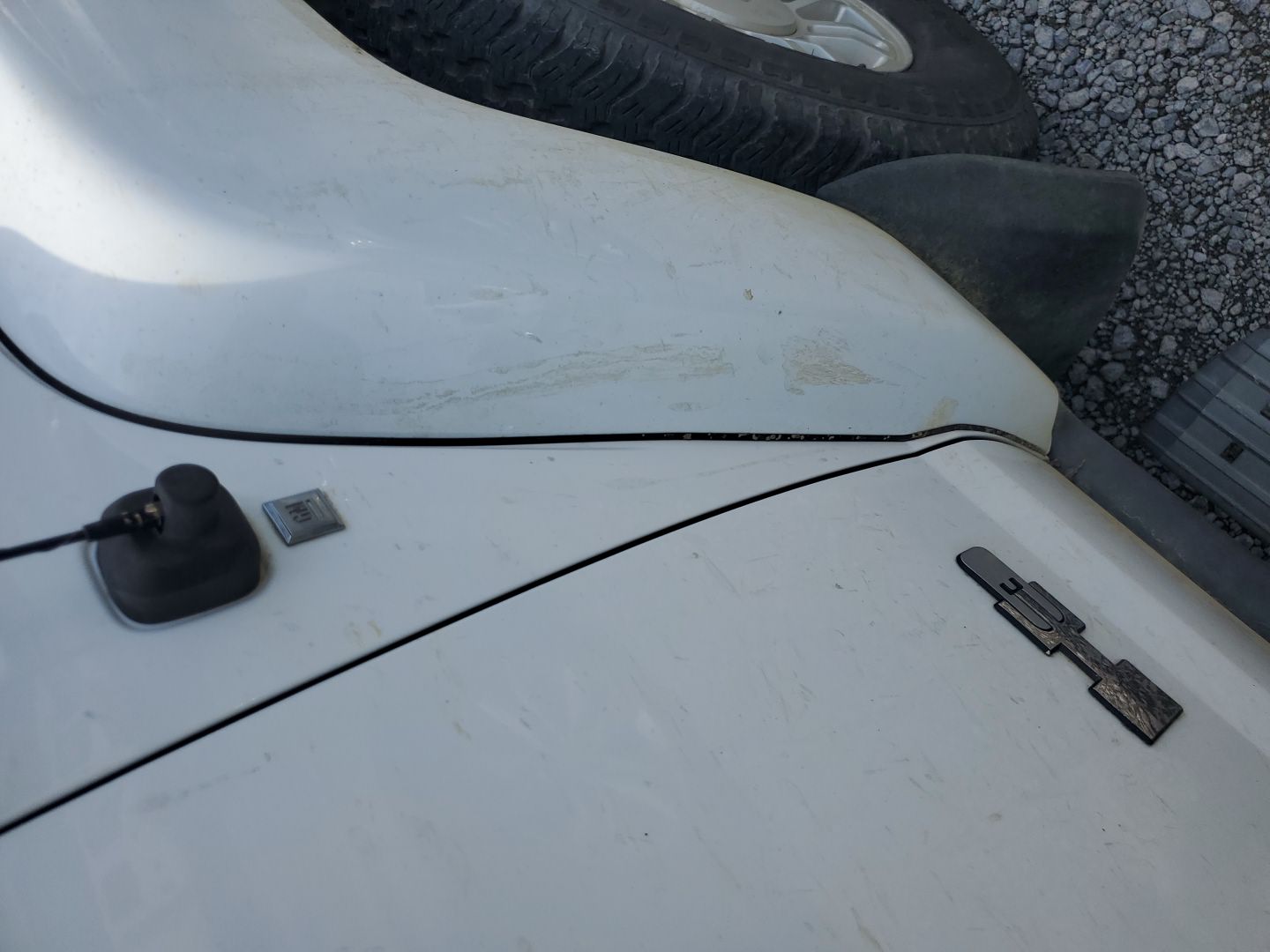 RR Door (Environmental Paint Dmg)