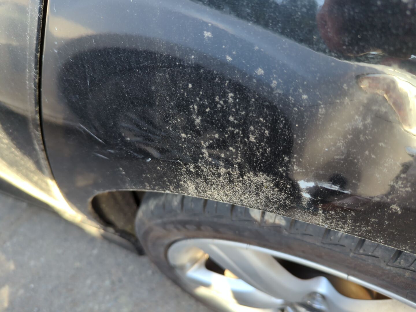 LF Door (Heavy Mult Scratches)