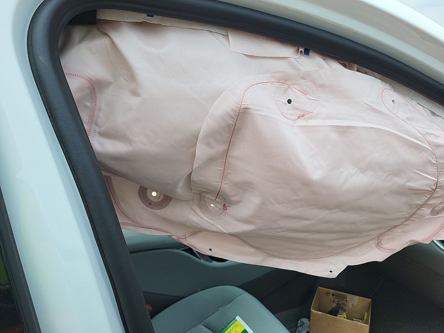 Steering Wheel (Torn)