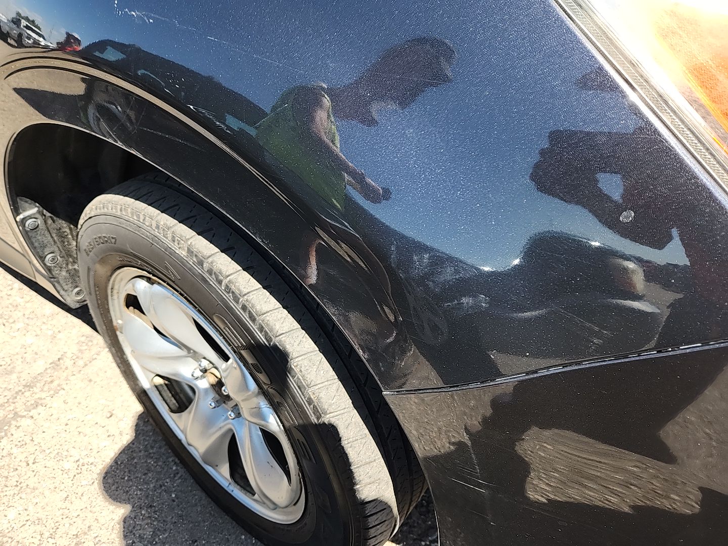 RR Door (Dent/Paint Dmg)