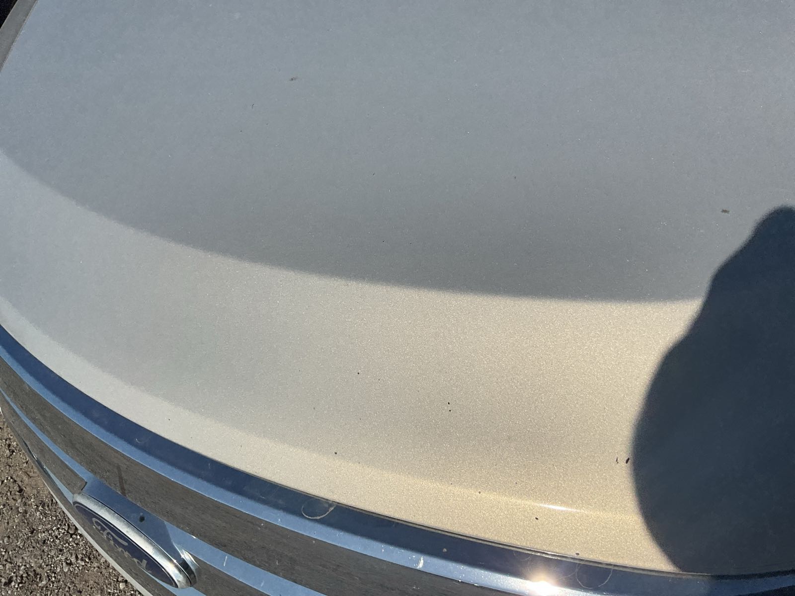 L Qtr Panel (Chipped)