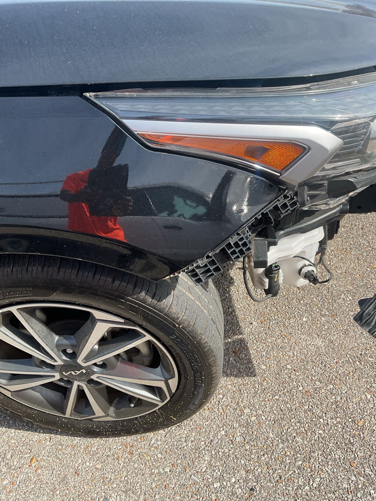 RR Door (Mult Dents/No Paint Dmg)
