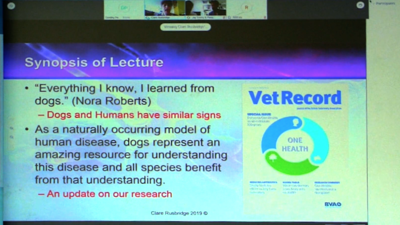 One Health: Learning from Our Best Friends – Canine Chiari ...