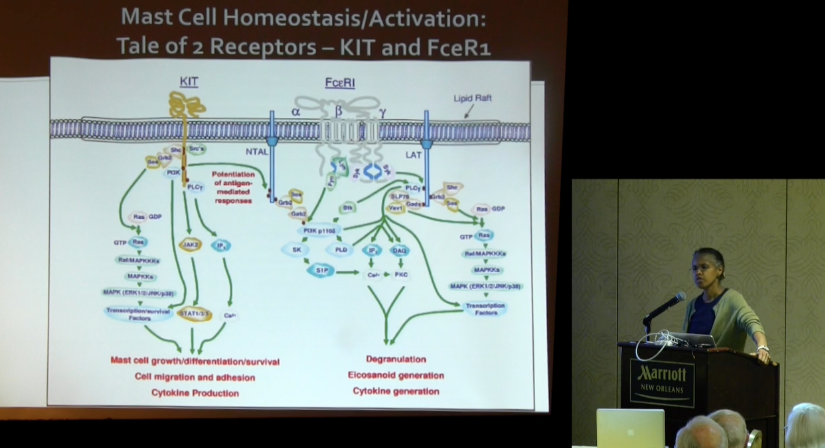 Mast Cell Activation Syndrome and the Autonomic Nervous System – Bobby ...