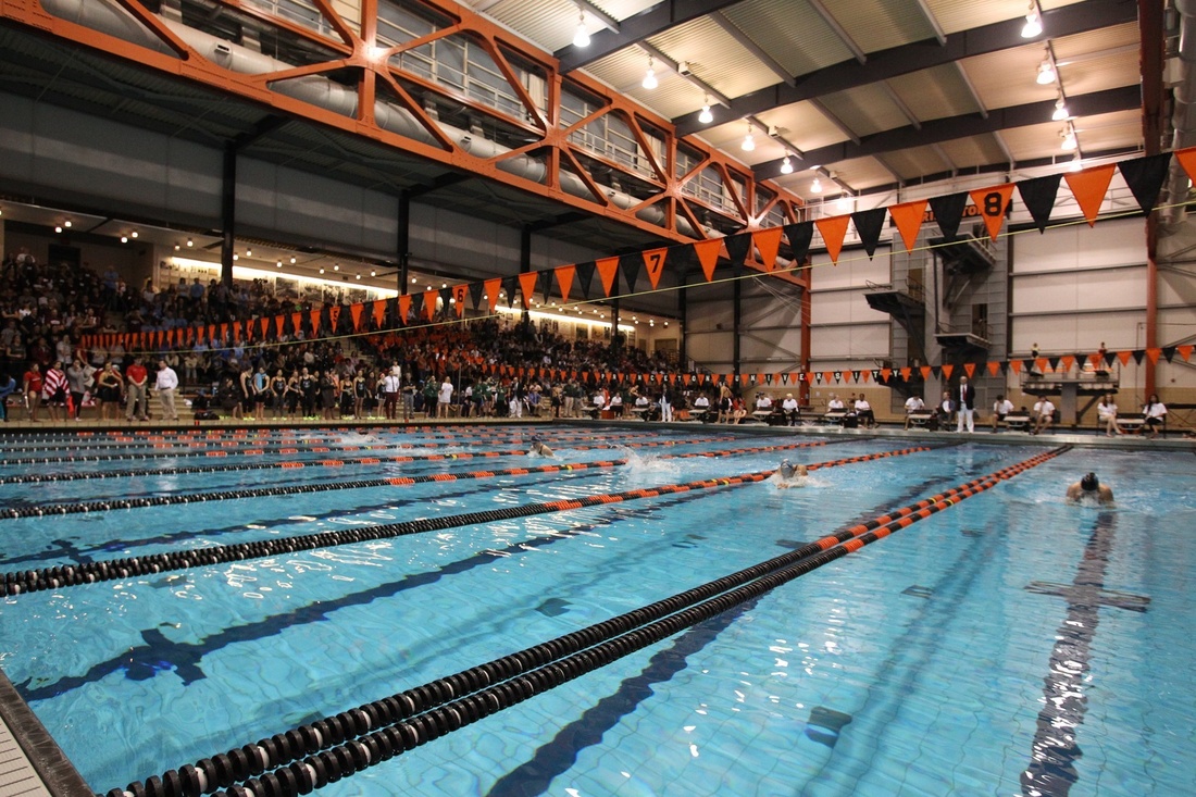 DeNunzio Pool