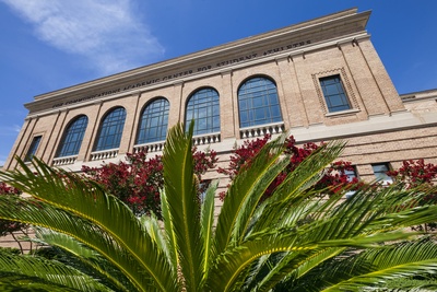 Louisiana State University