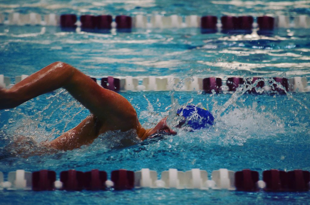 Batesy Bates | Swimcloud