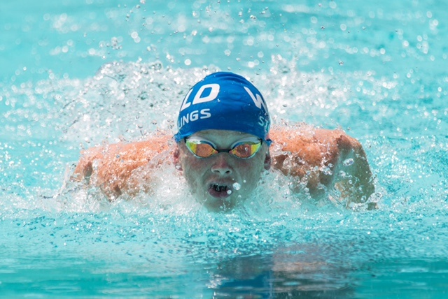 Tim Stollings | Swimcloud