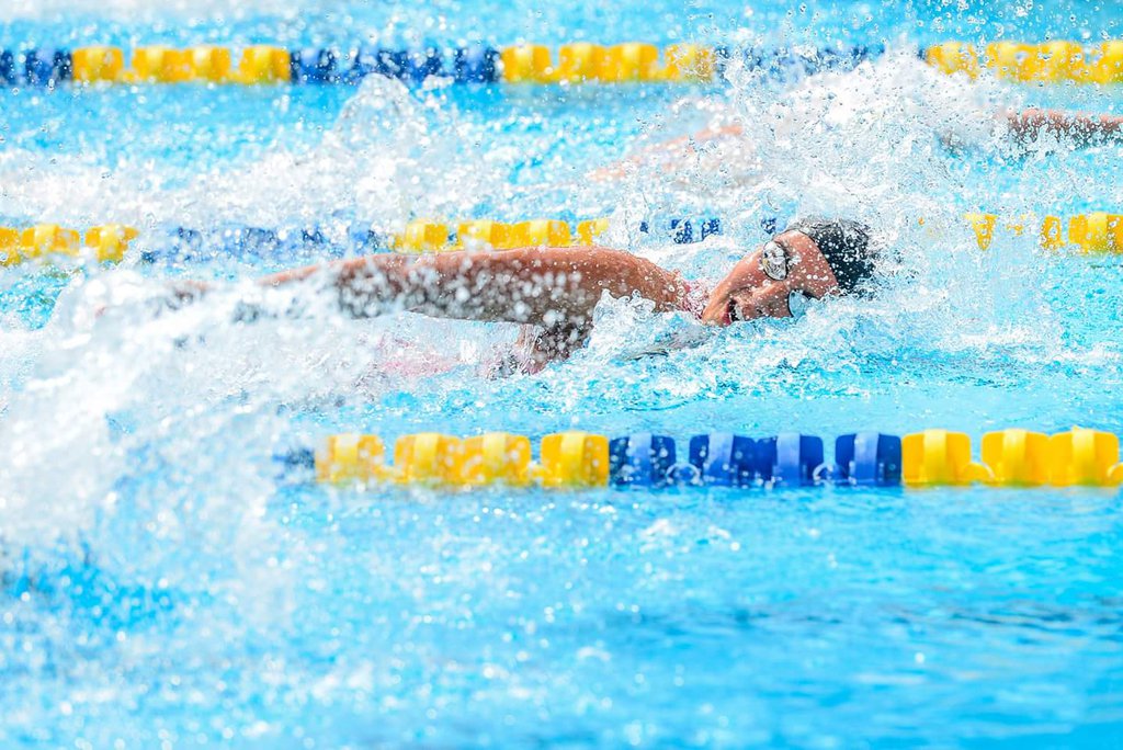 Elisabeth TIMMER | Swimcloud