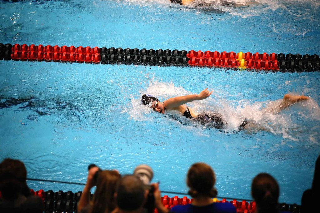 Kayleigh Witt | Swimcloud