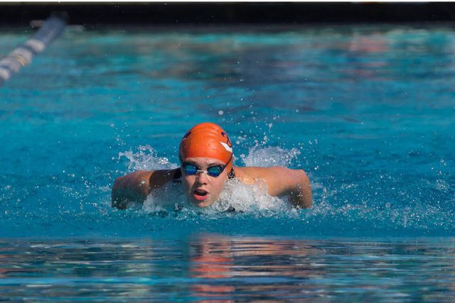 Miranda Renner | Swimcloud