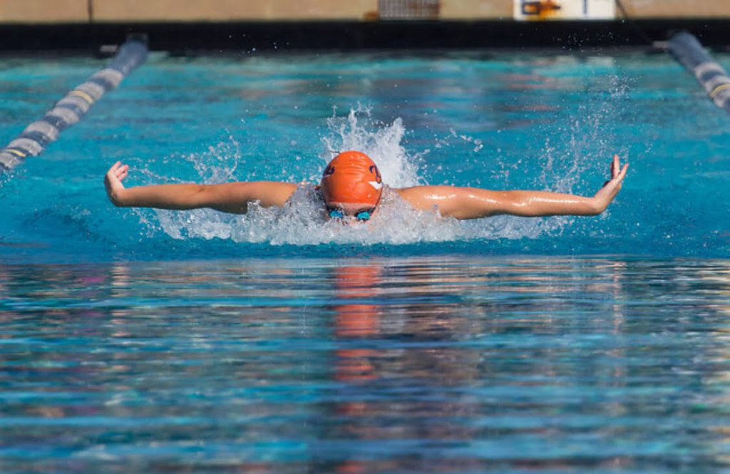 Miranda Renner | Swimcloud