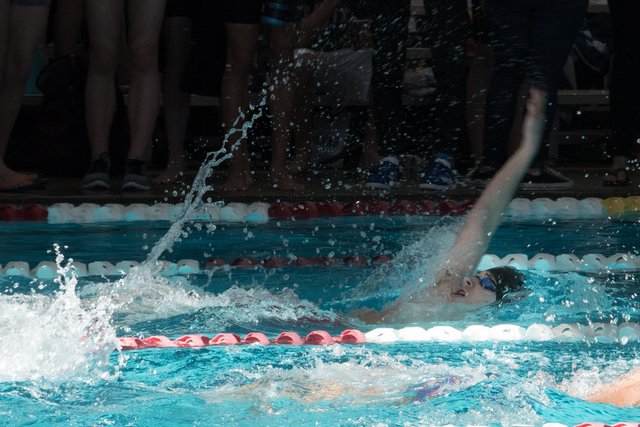 William Knox | Swimcloud